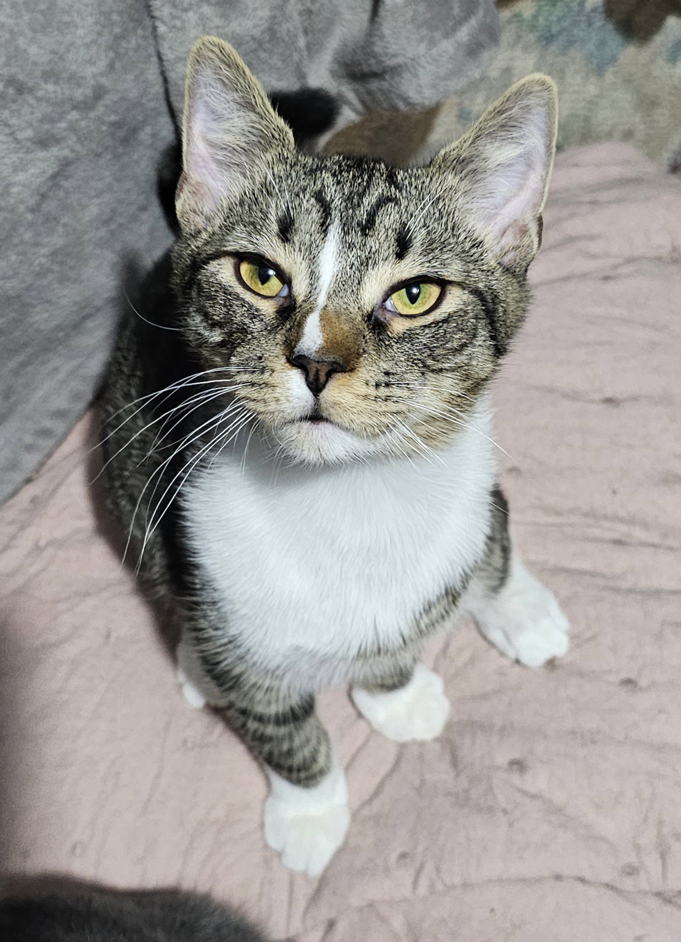Edgar (bonded brother pair)'s Web Page