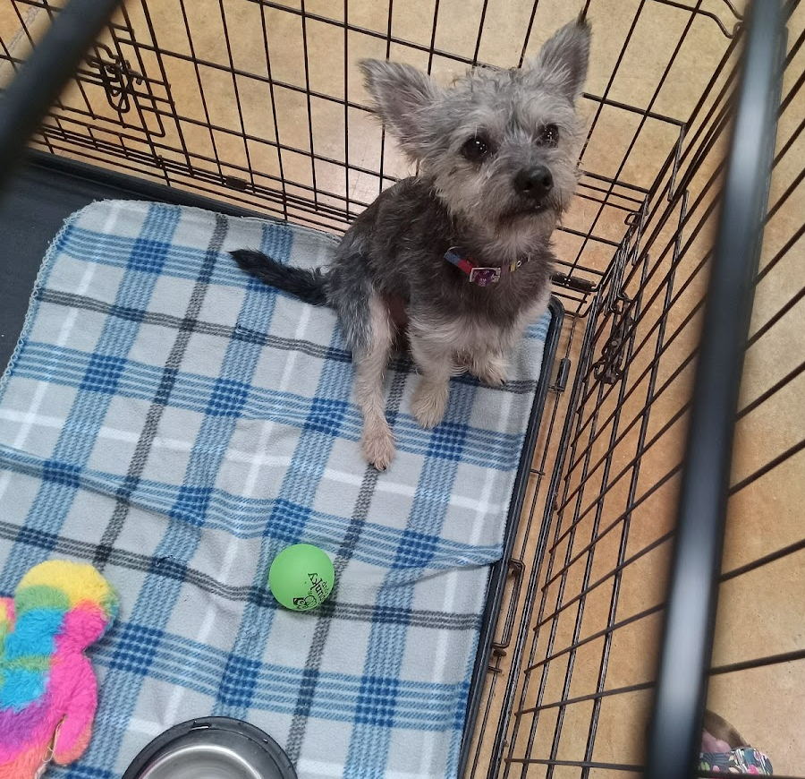 Keith (adoption pending)'s Web Page