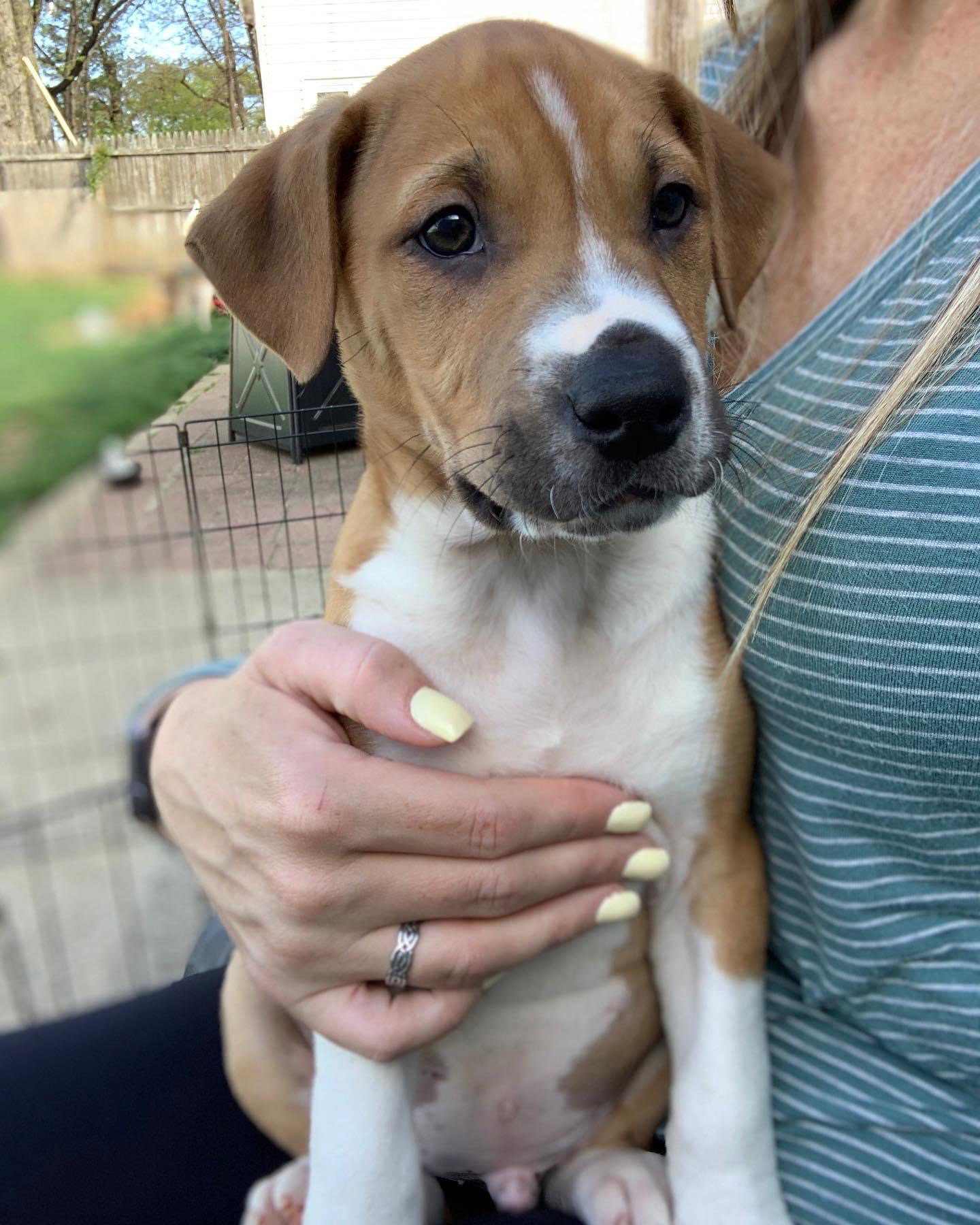 Doc's No Paw Left Behind Animal Rescue | New Jersey