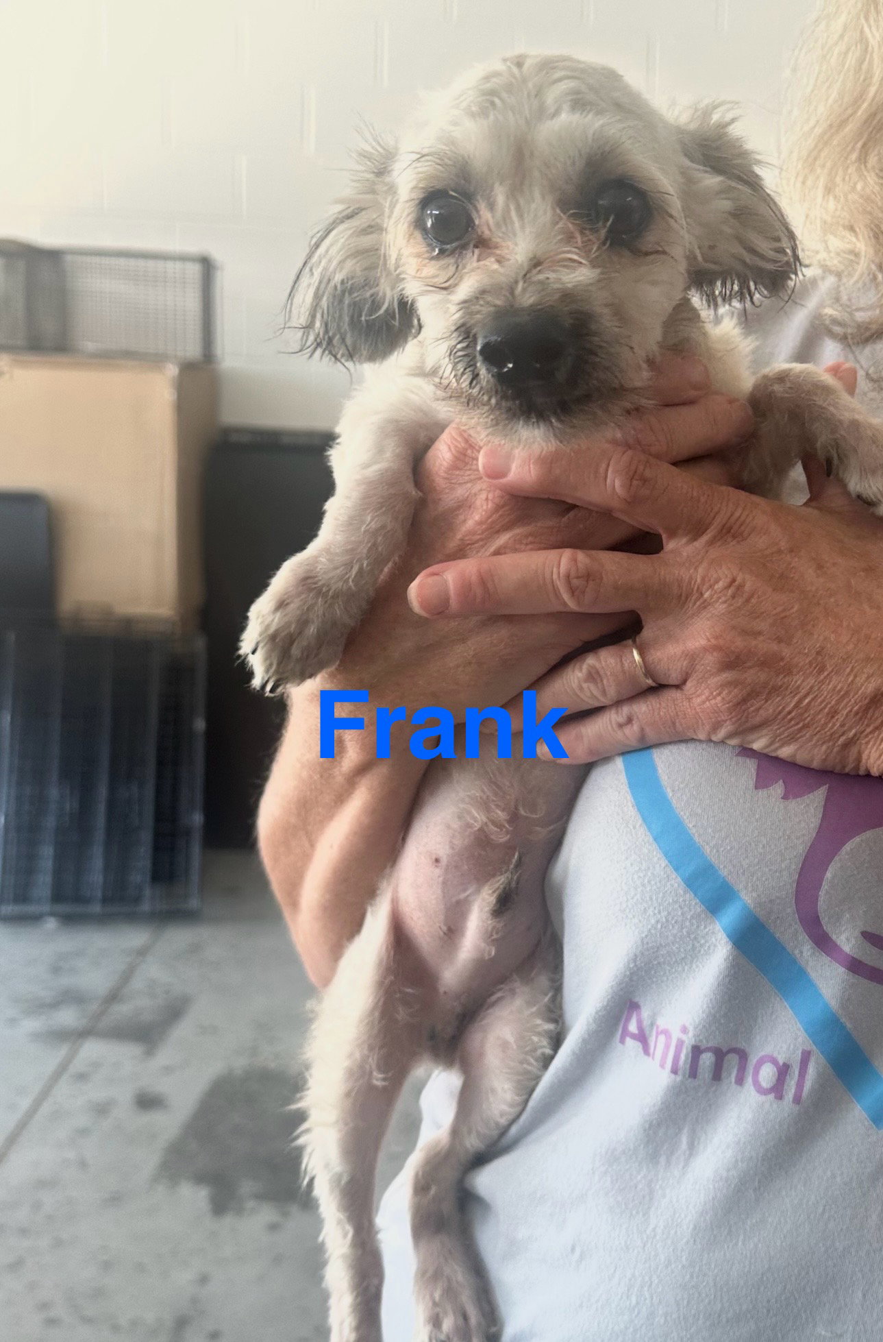 Frank's No Paw Left Behind Animal Rescue | New Jersey