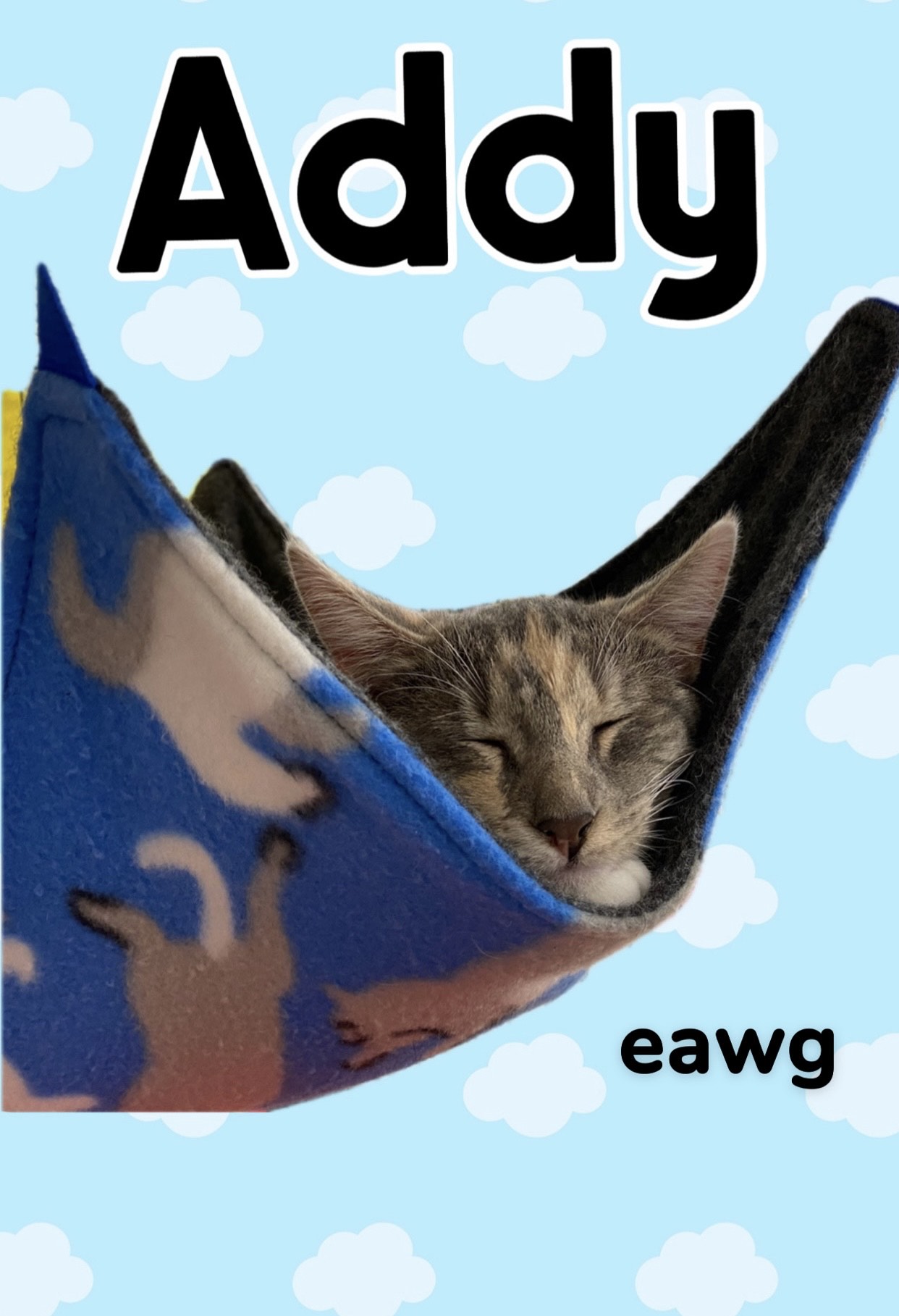 Addy's Web Page