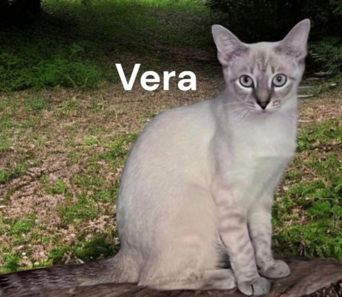 Vera's Web Page
