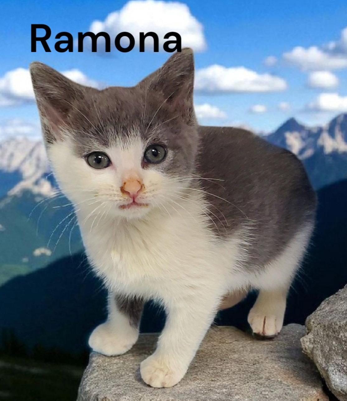 Ramona's Web Page
