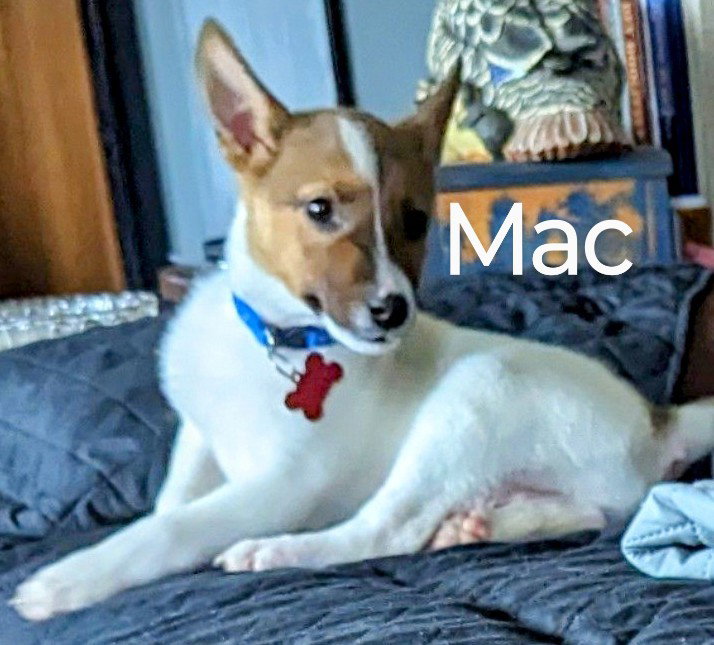 Mac's Web Page