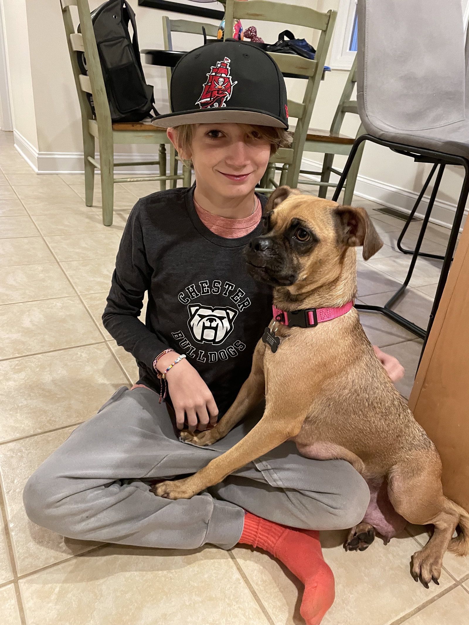 Dog for Adoption - Miss Piggy the Pug Rico, a Pug in Monmouth County ...