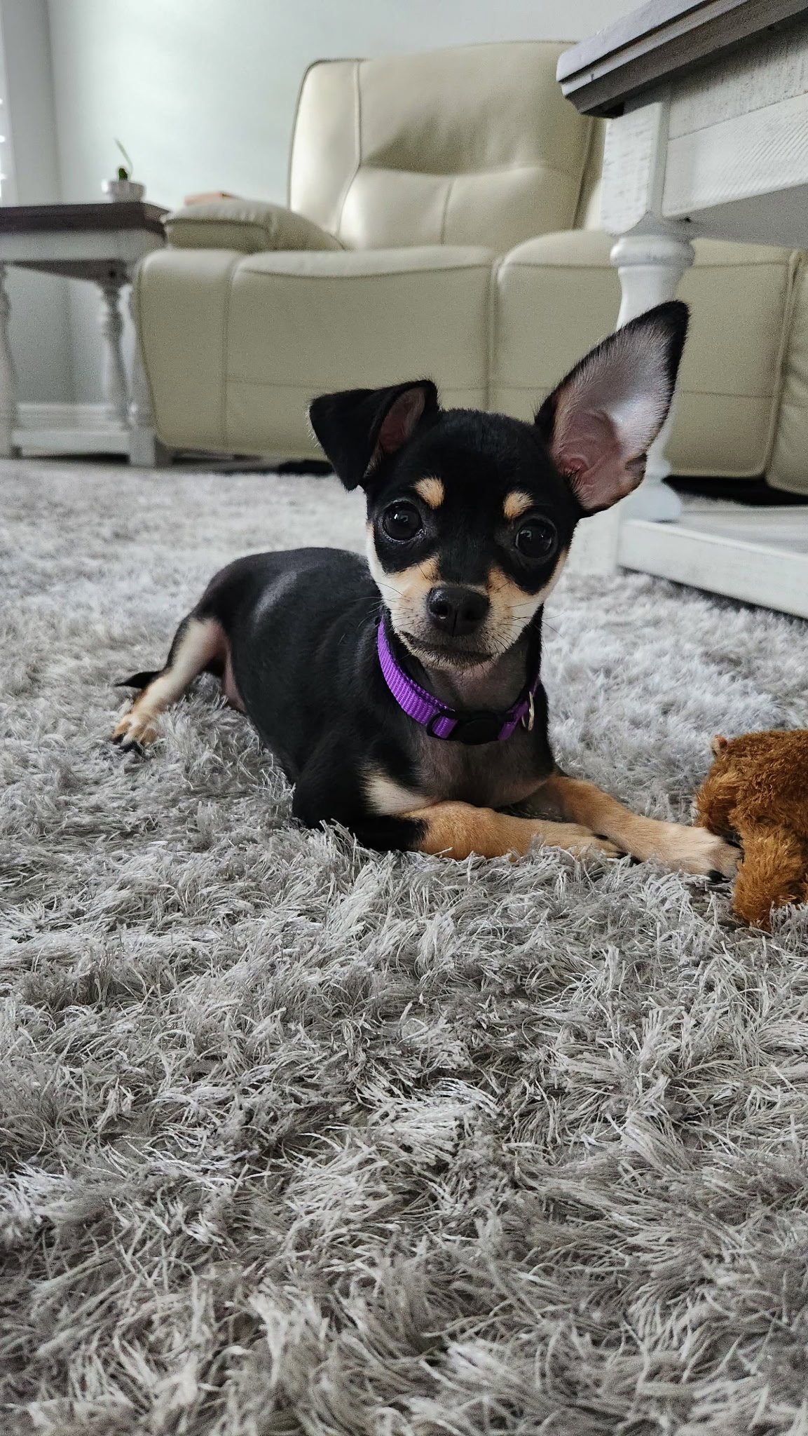Daphne (now Willa)'s Web Page