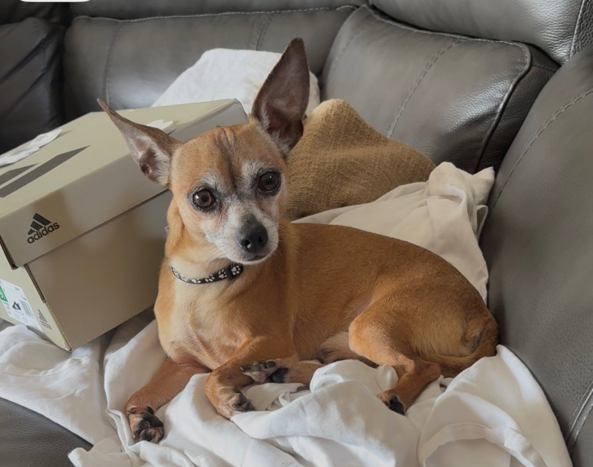 Spud's Web Page