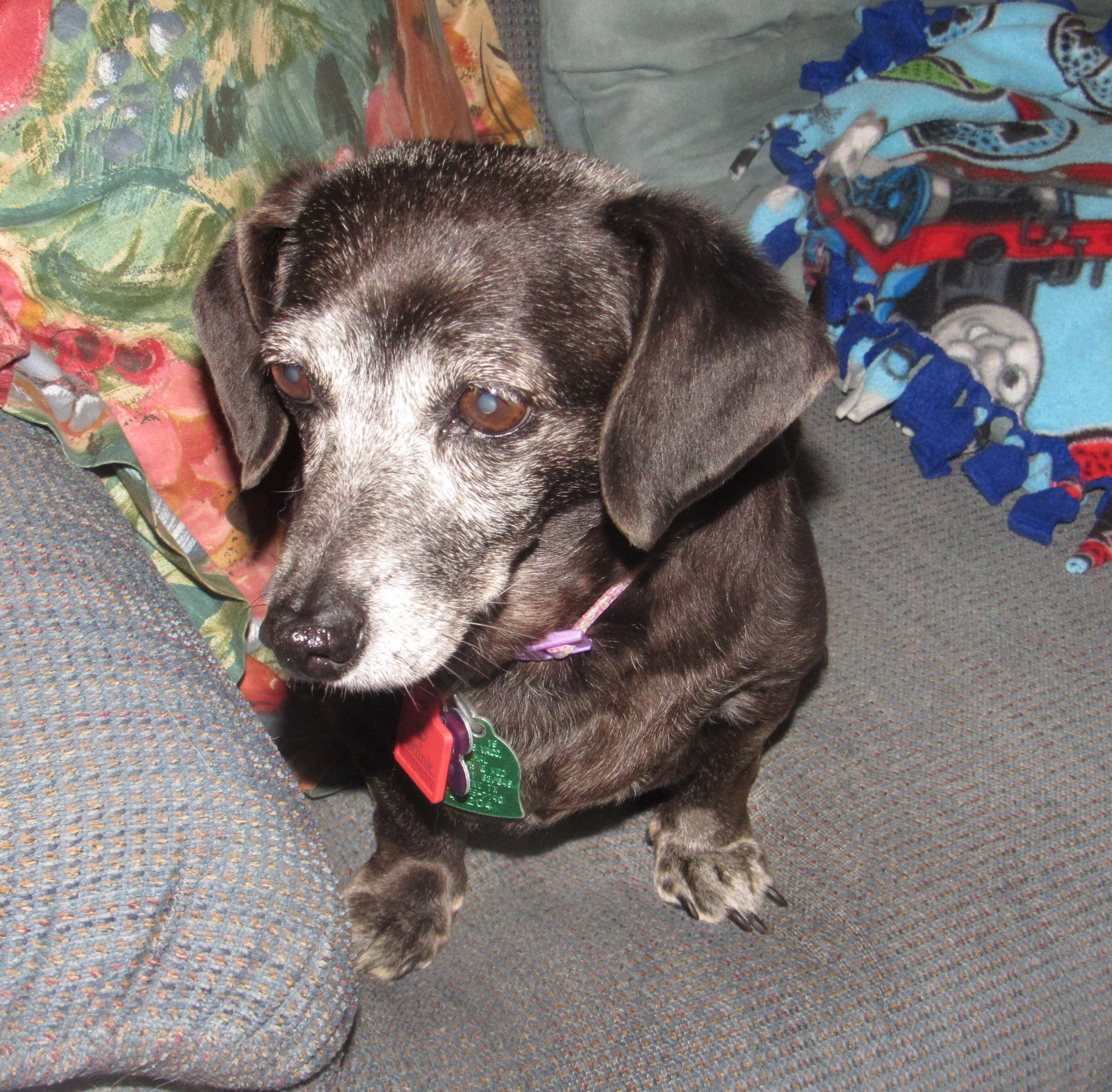 Gladys' Web Page