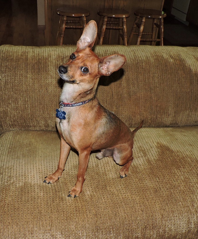Paco's Web Page