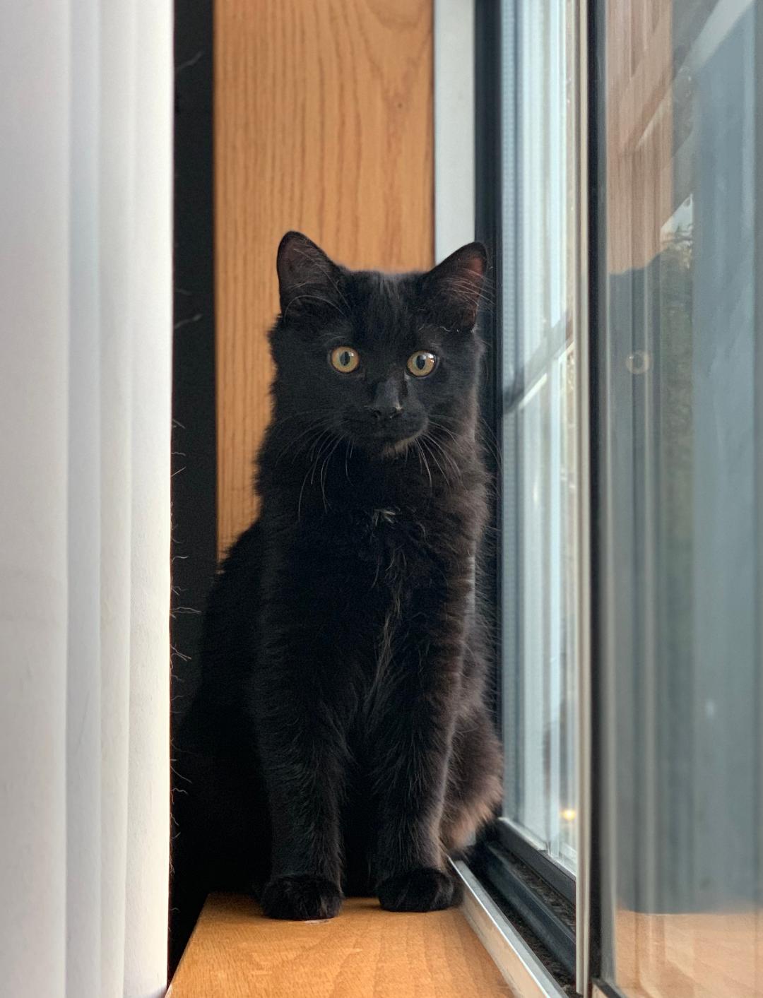 Binx's Web Page