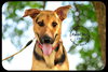 Clancy's Web Page